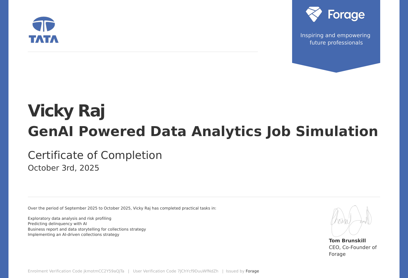 Vicky Raj | Data Analyst & Developer